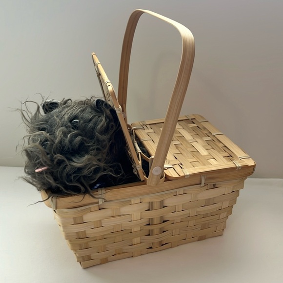Rubie's | Costumes | Rubies Wizard Of Oz Dorothys Toto In A Basket ...